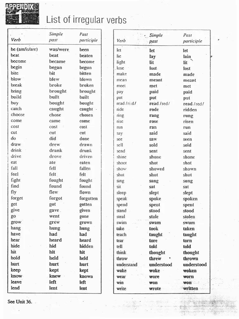 Verbo Irregular De Mudanza: Conjugación Y Importancia En Mudanzas Y ...