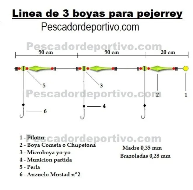 Las Mejores Líneas De Pesca De Flete Para Pejerrey | Fletes Y Mudanzas
